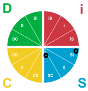 DiSC - Interaction Between Styles: S (Steady) with S (Steady) – TrainingLocation